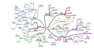 Walmart Mind Map | PDF