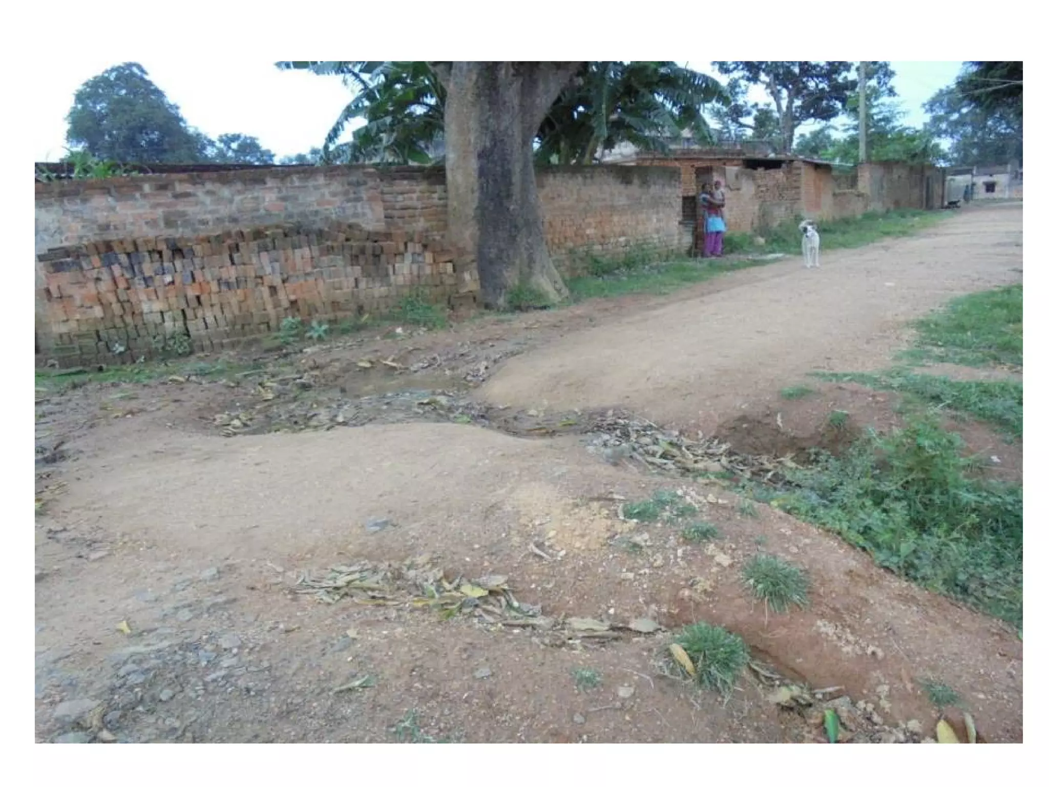 Environmental safeguards | PPT