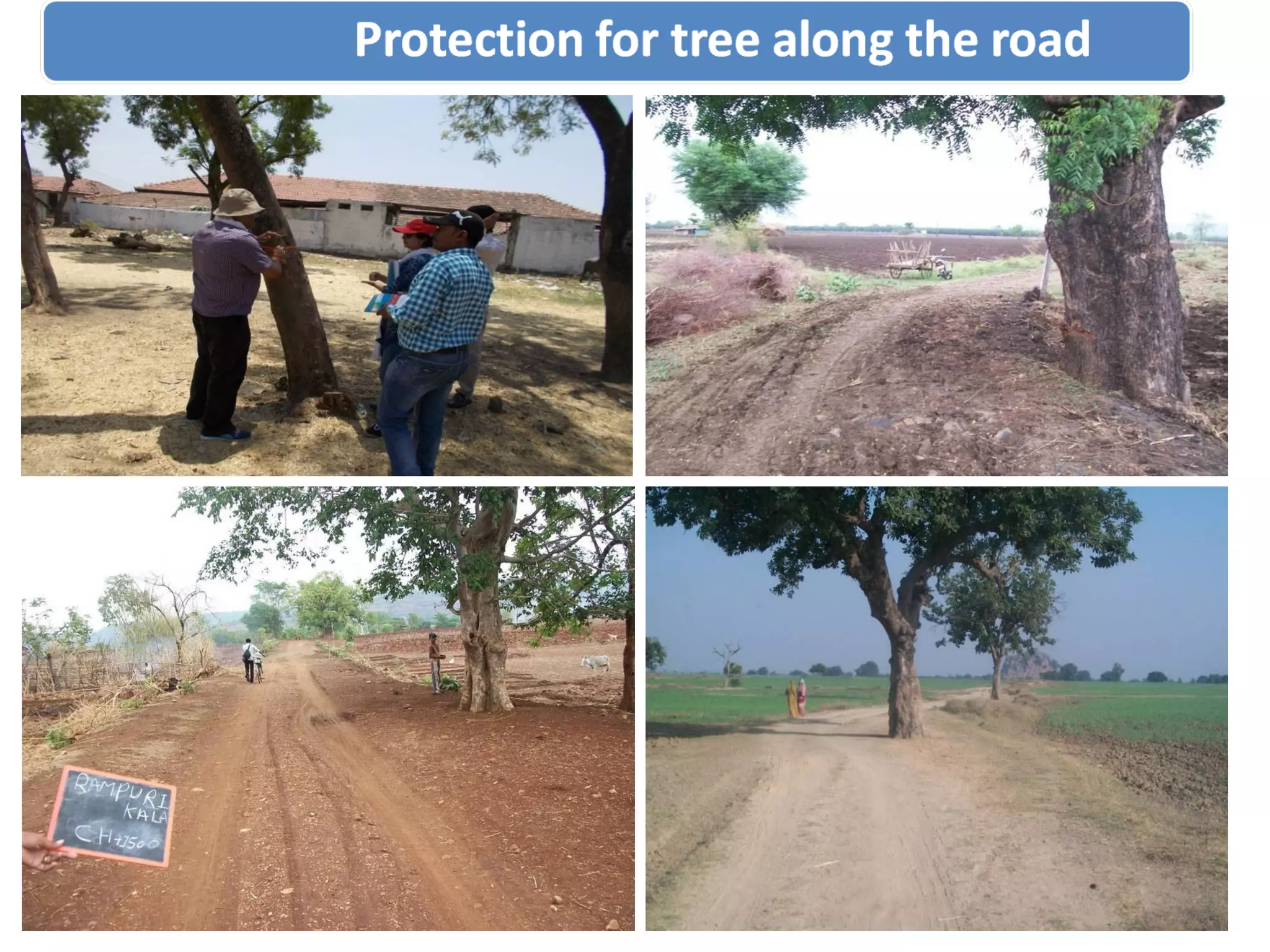 Environmental safeguards | PPT