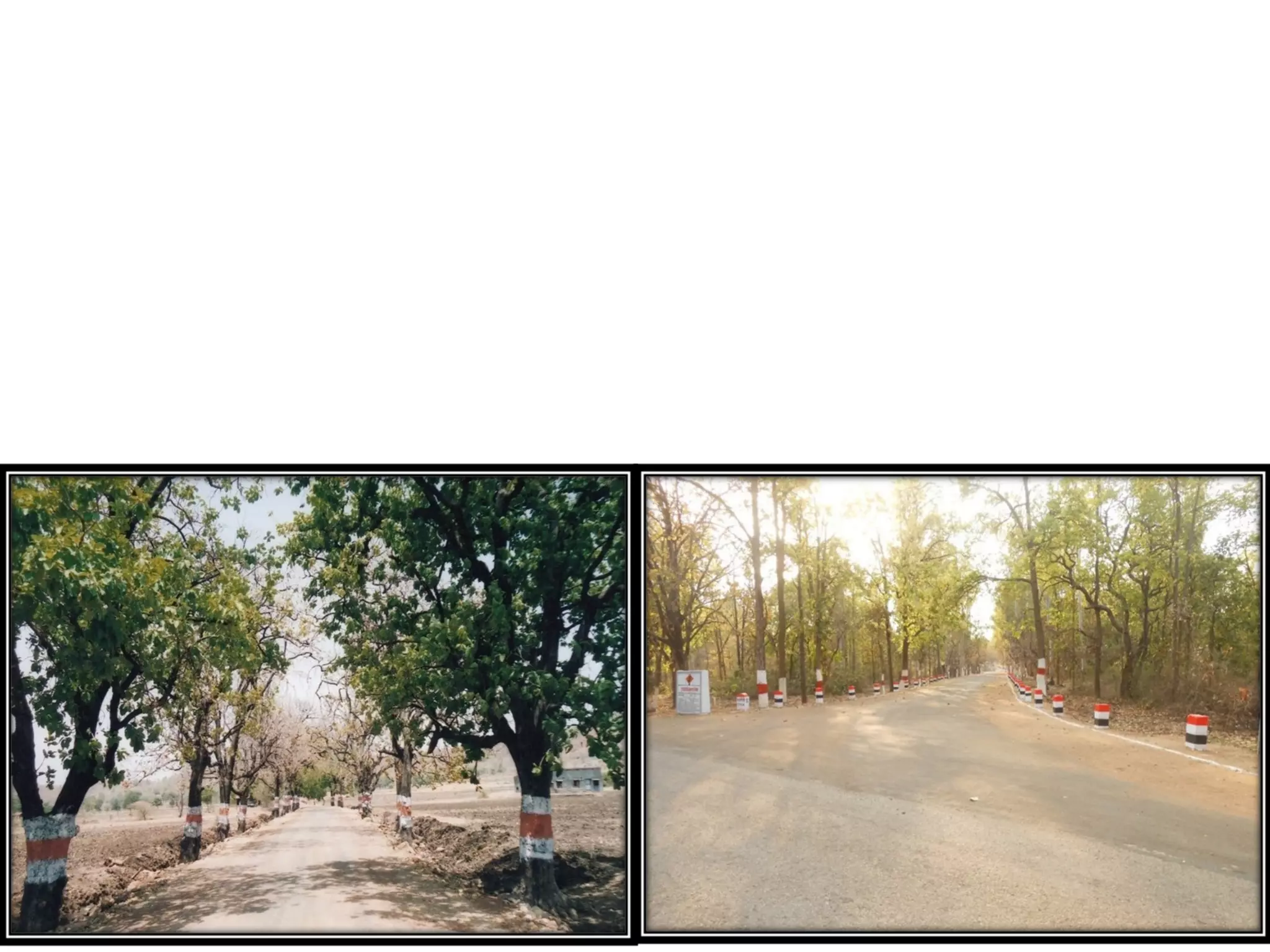 Environmental safeguards | PPT