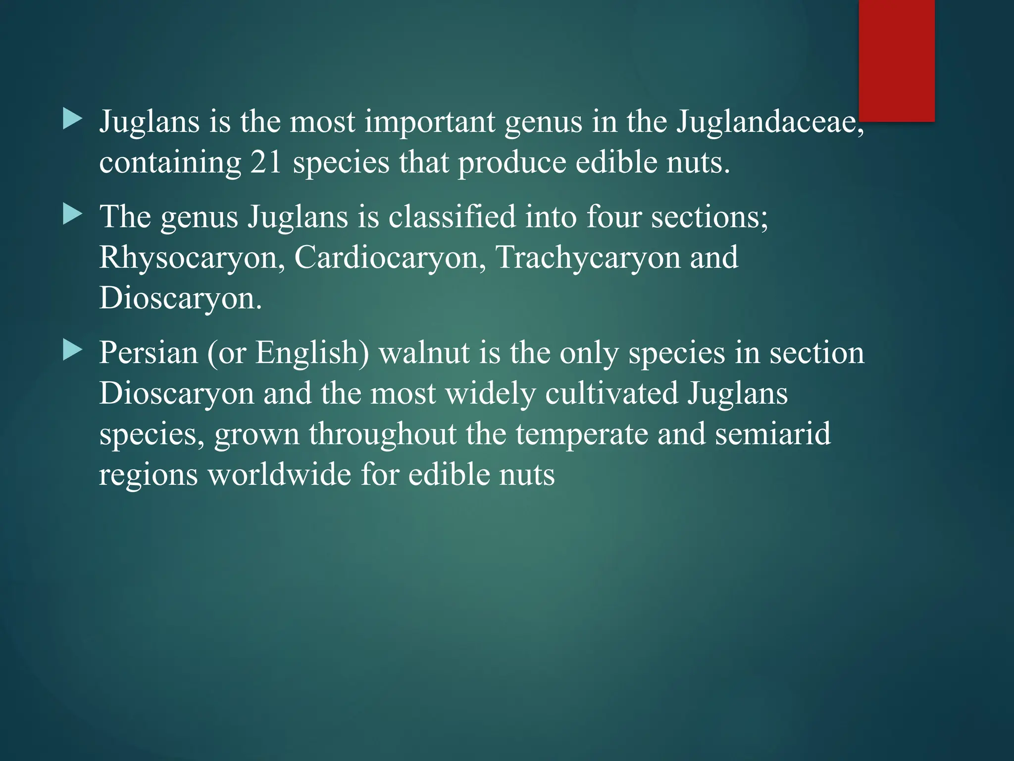 Breeding of walnut... PPT saba khan.pptx