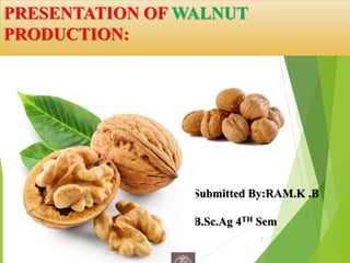 walnutpresentation-190223161059.pdf