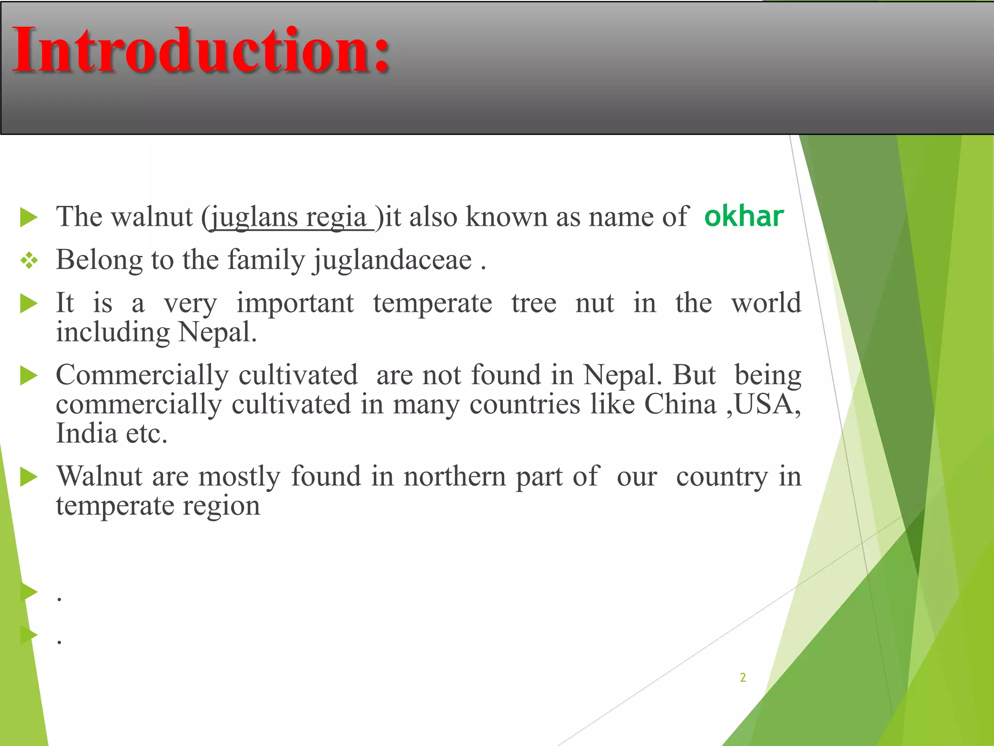 Walnut presentation | PPTX