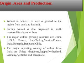 Walnut presentation | PPTX