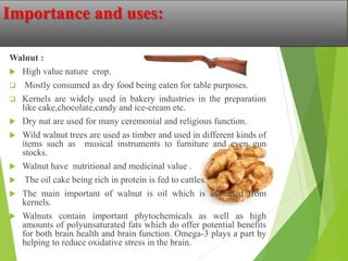 Walnut presentation | PPTX