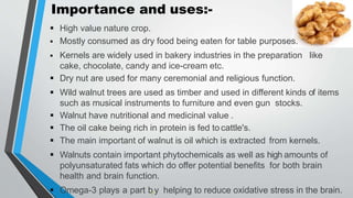 Walnut By Rishu | PPTX