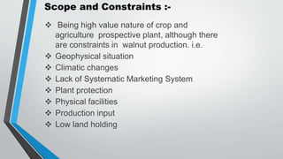 Walnut By Rishu | PPTX