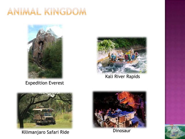 Walt Disney World Rides | PPTX