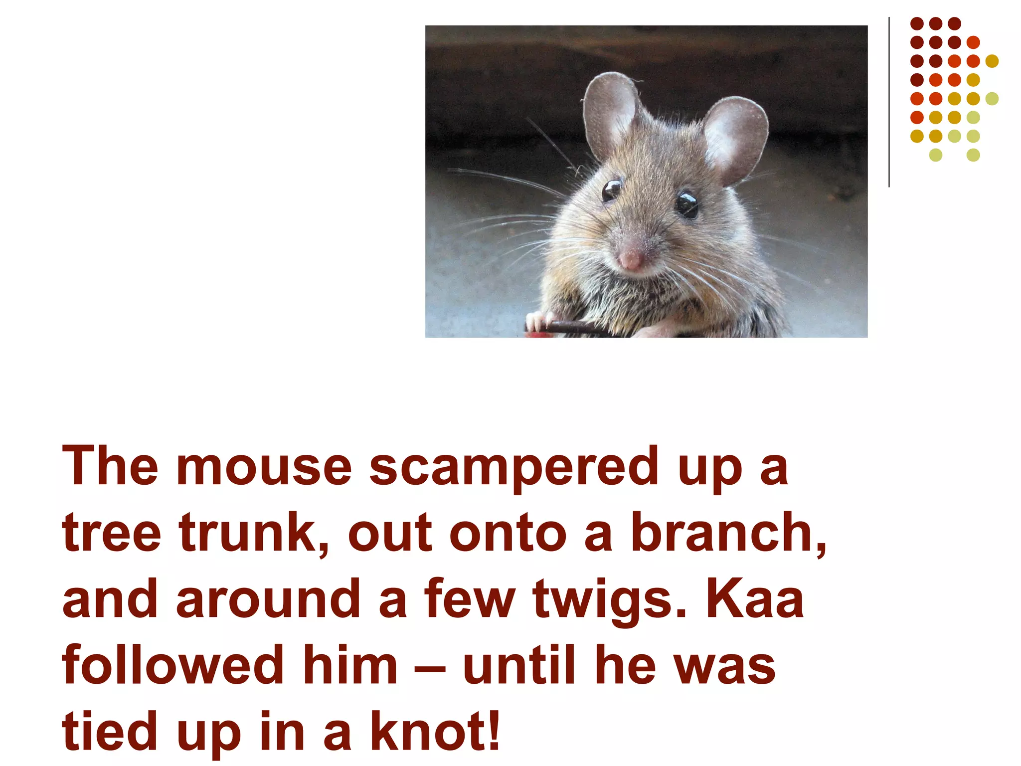 Walt disney series iv | PPT