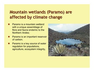 Wetlands: Climate adaptation, mitigation and biodiversity protection | PDF