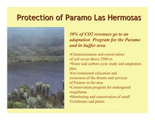 Wetlands: Climate adaptation, mitigation and biodiversity protection | PDF