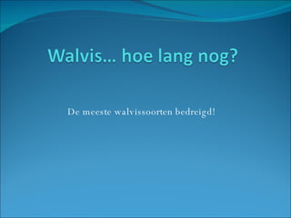 Walvis | PPT