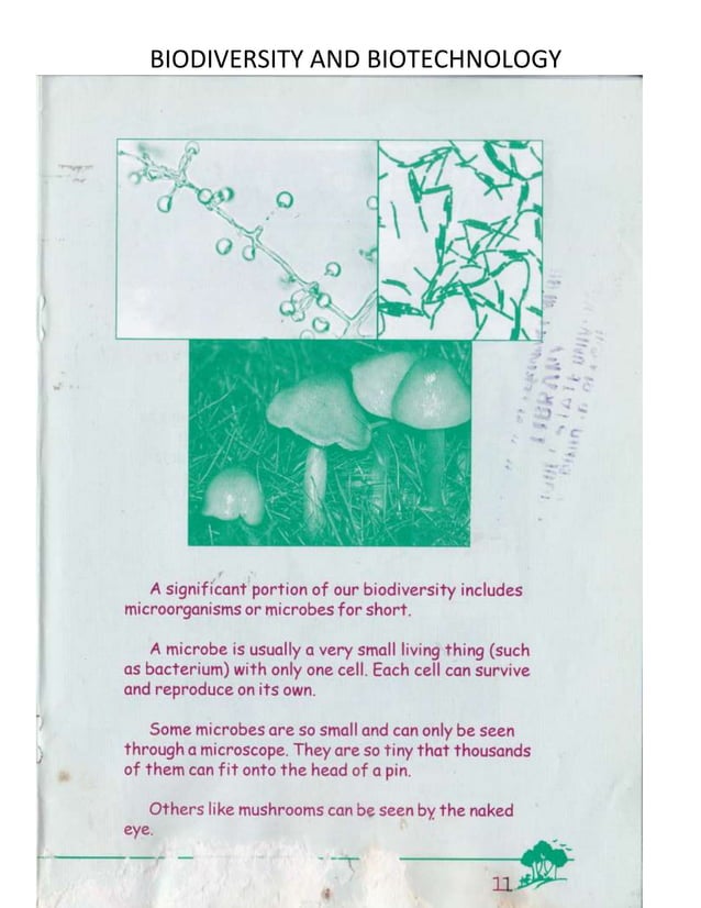 biodiversity and biotechnology | PDF