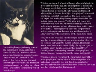 Wanda wulz | PPT