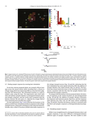 Synaptic Transmission | PDF