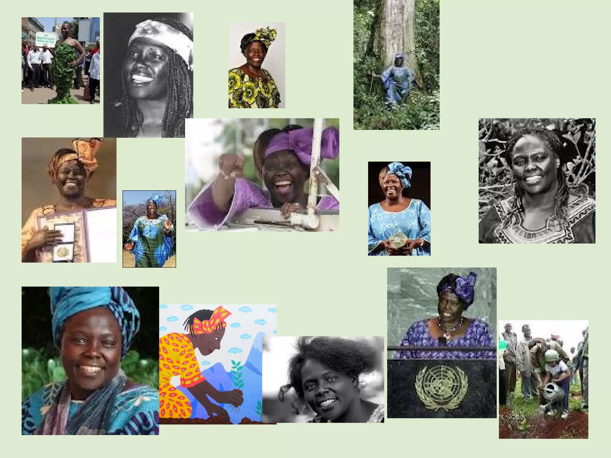 Wangari maathai | PPT