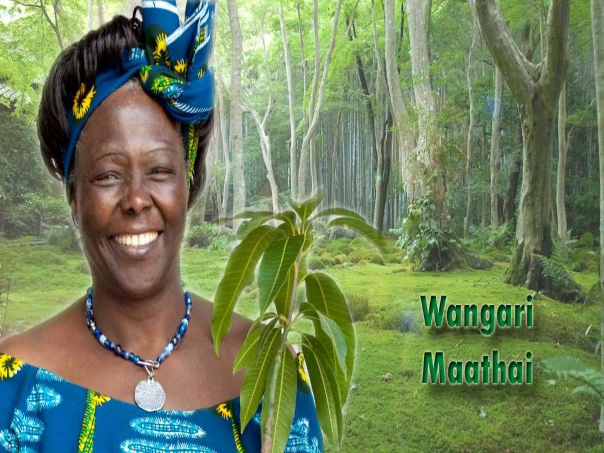 Wangari maathai | PPT