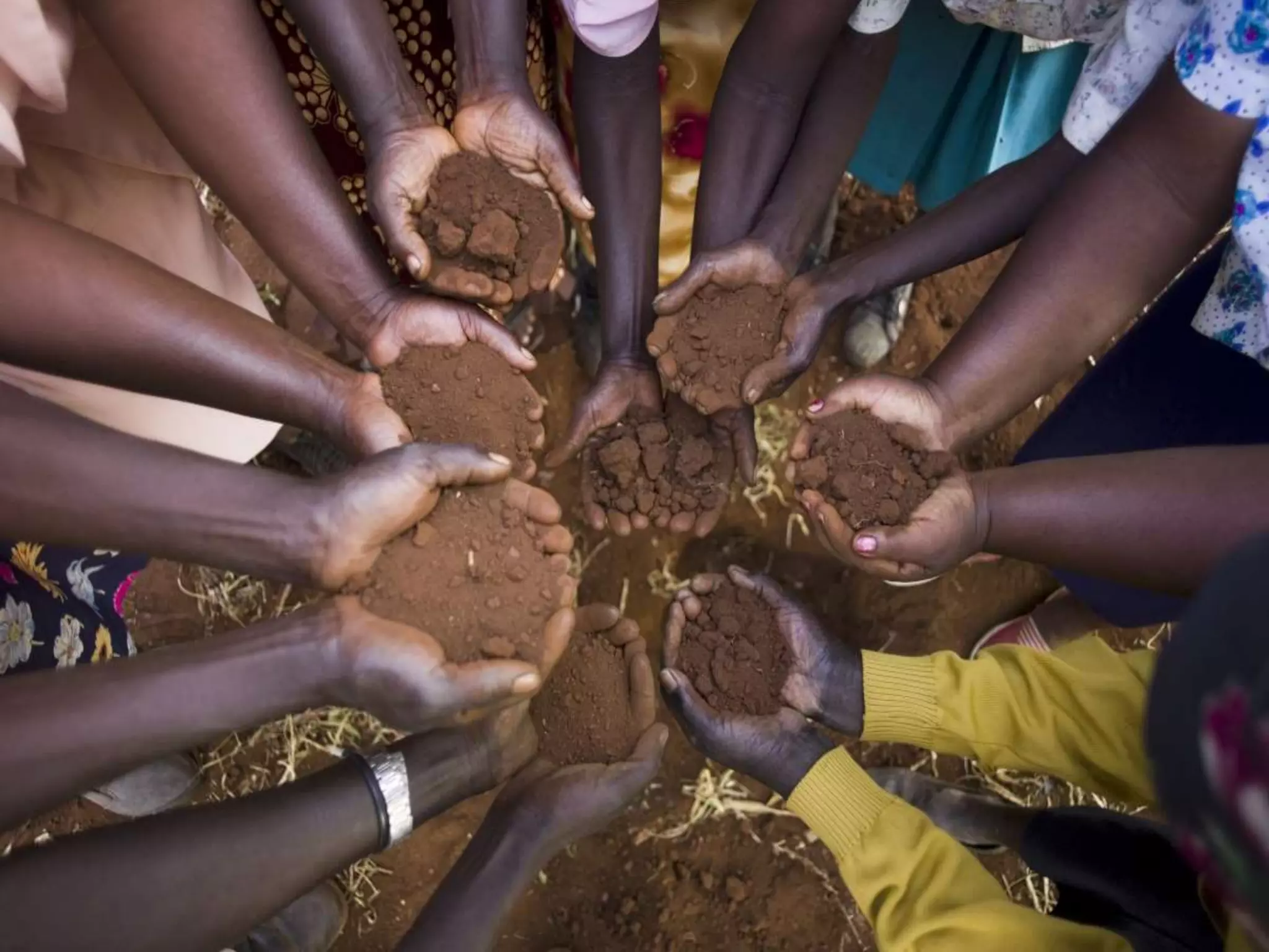 Wangari Maathai:Mama Trees | PPT