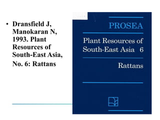 Wang Kanglin_Rattan Assessment | PDF