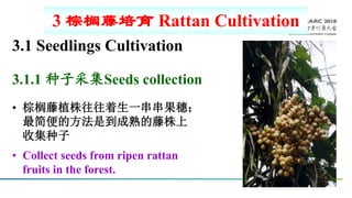 Wang Kanglin_Rattan Resources and Cultivation in China | PPT