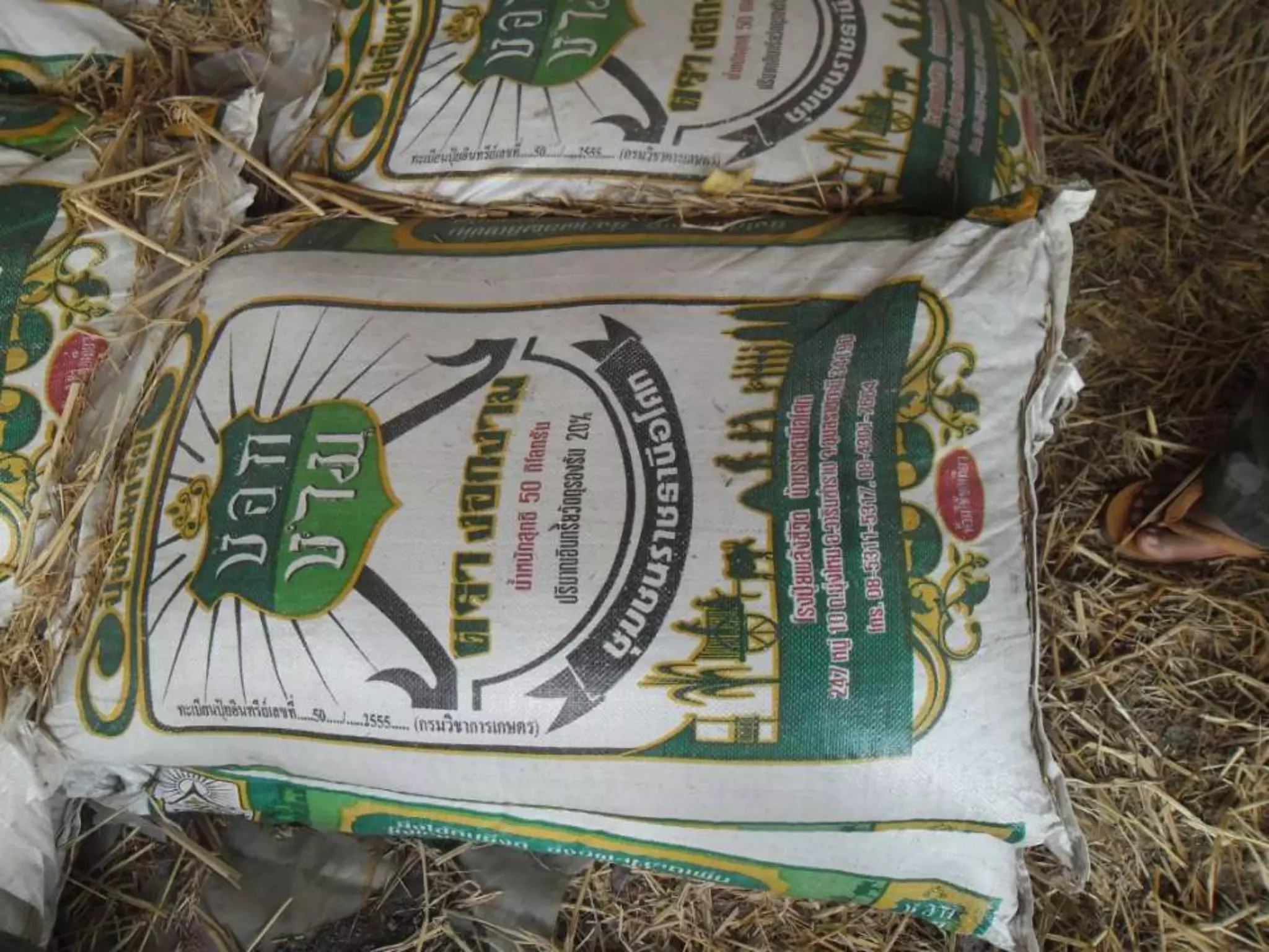 Wangnamkiew clc presentation | PPTX