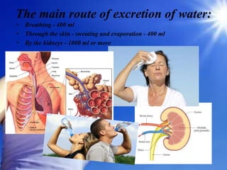 Water in human body by Group2 | PPTX
