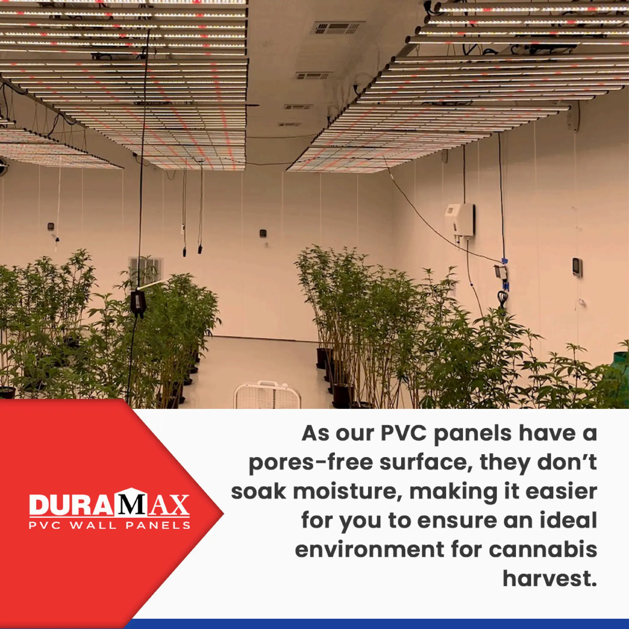 Want-to-Create-a-Damp-Free-Grow-Room-Choose-PVC-Wall-Panels (1).pdf