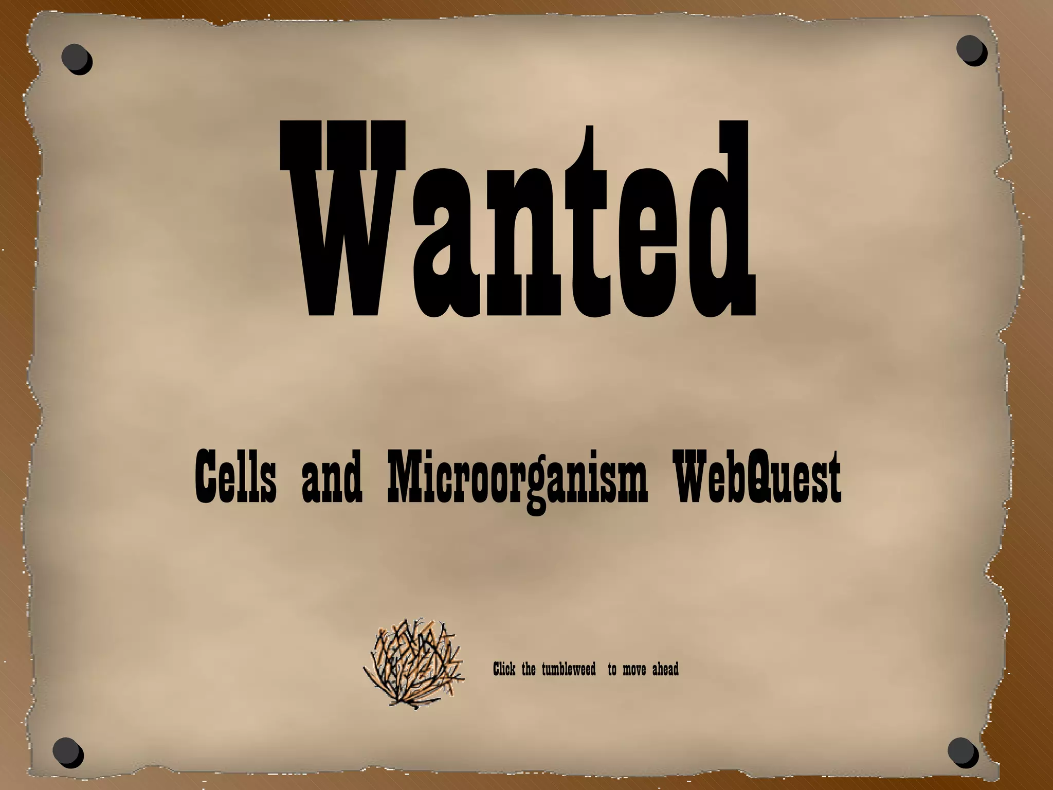 Wanted microorganisms | PPT