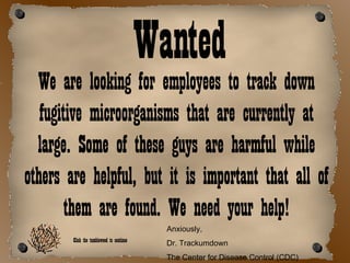 Wanted | PPT