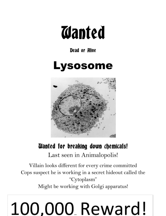 Wanted Poster for Lysosome | PDF