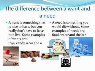 Wants Vs Needs Examples