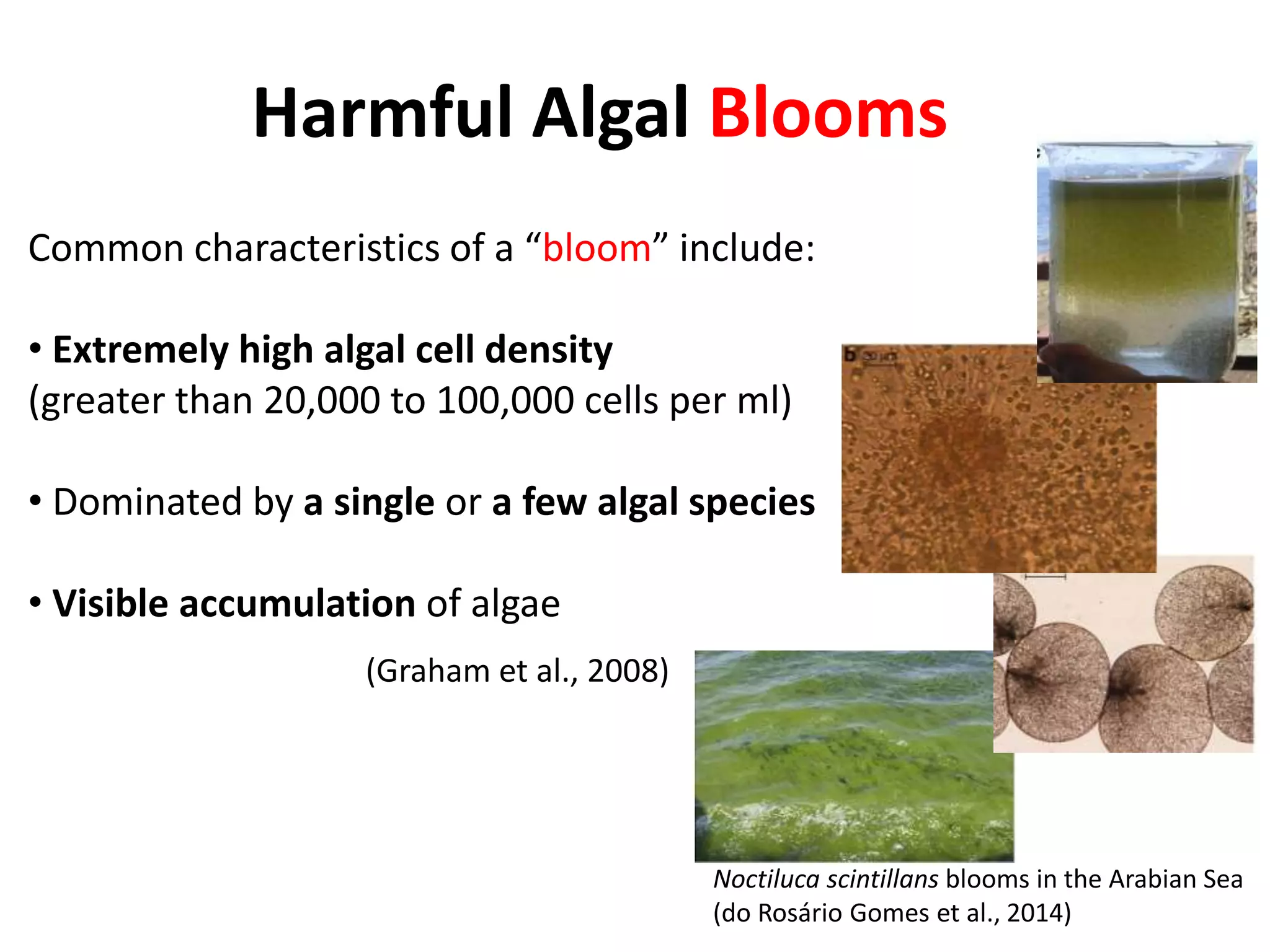 Harmful algal blooms and algal toxins | PPTX