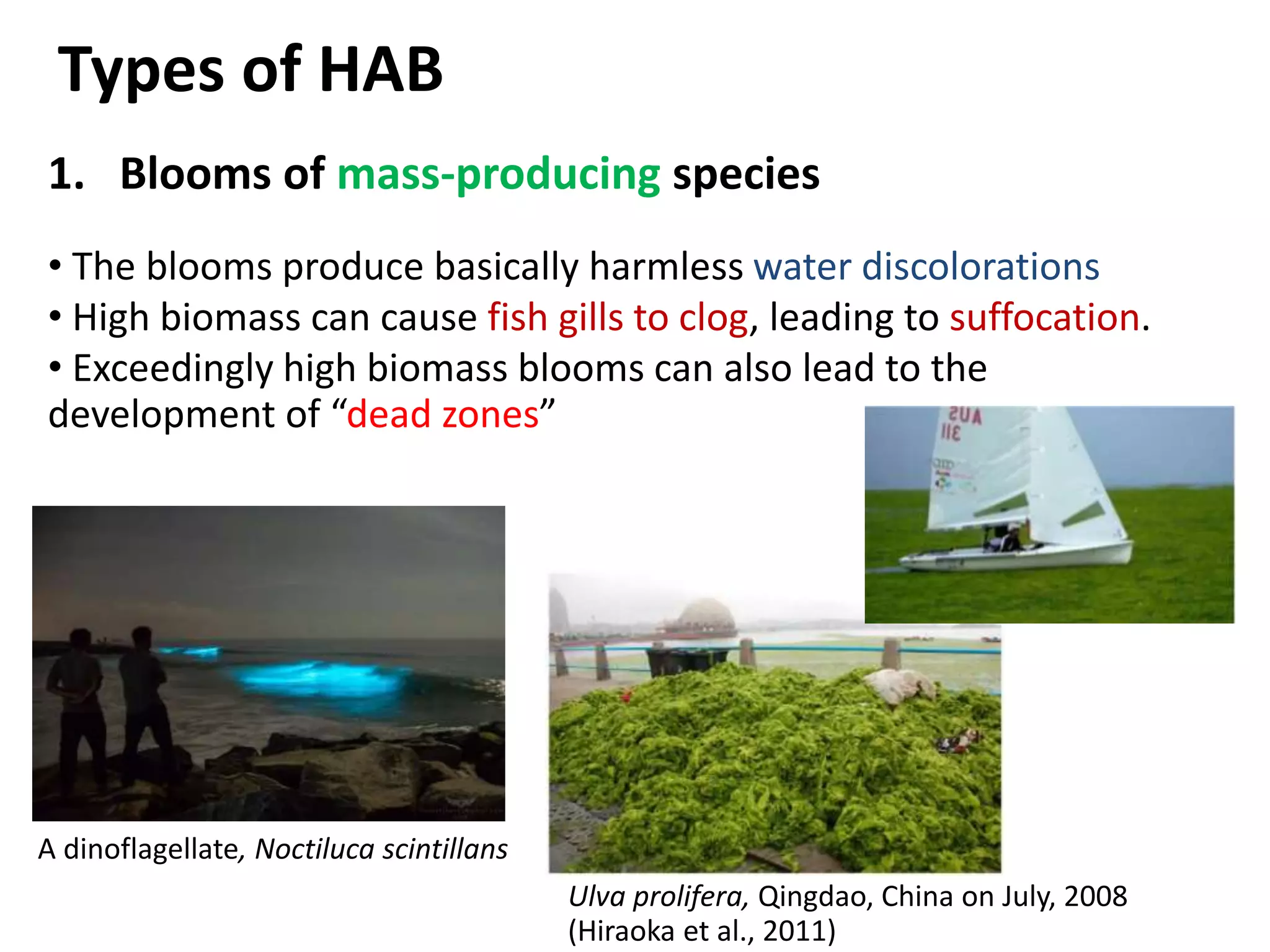 Harmful algal blooms and algal toxins | PPTX