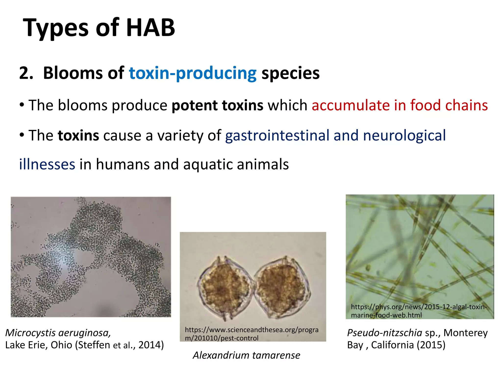 Harmful algal blooms and algal toxins | PPTX