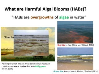 Harmful algal blooms and algal toxins | PPTX