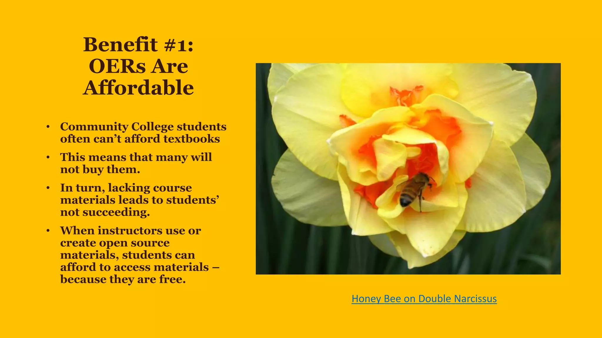 WAOL OER Assign 7.1 Susanne Weil | PPT