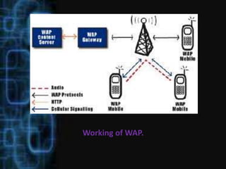 Wap | PPT