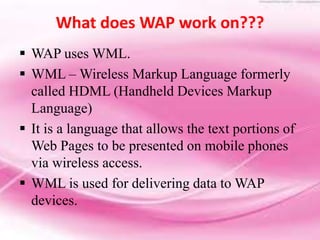 Wap | PPT