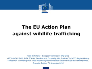 The EU Action Plan against wildlife trafficking | PPTX