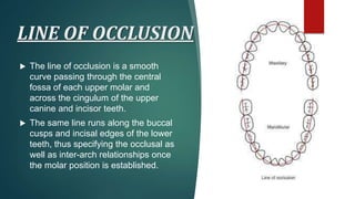 Dentistry pptx on topic of normal occlusion | PPT