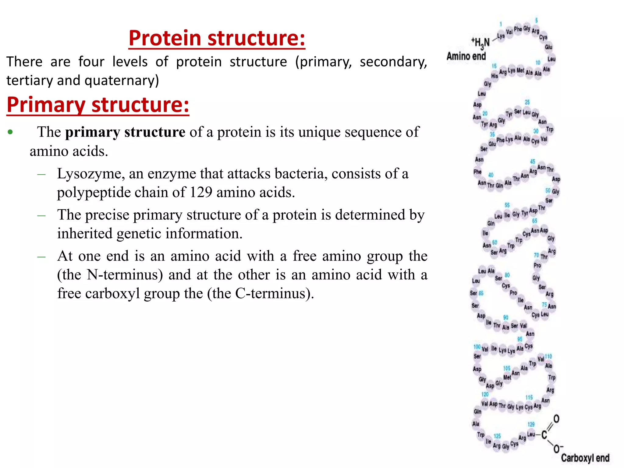 Introduction to Proteins and Aminoacids with Clinical significance | PPTX