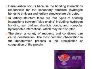 Introduction to Proteins and Aminoacids with Clinical significance | PPTX