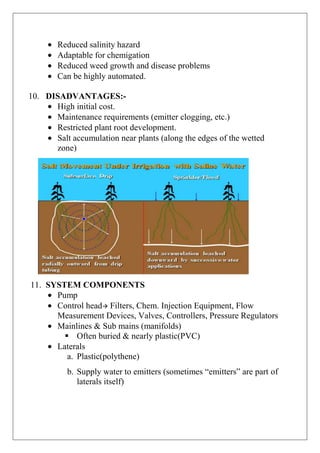 WARABANDI & MICROIRRIGATION | DOCX