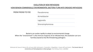 War against bacterial resistance | PPTX