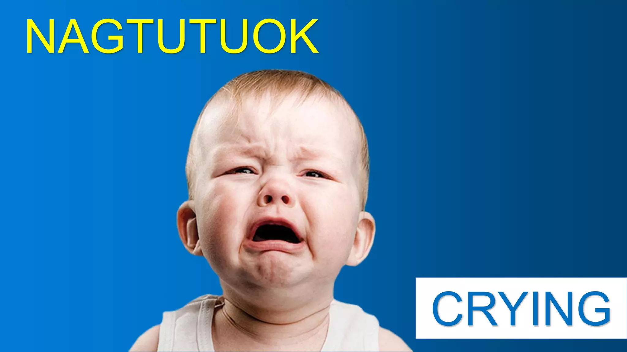 How to Speak Waray (with English Translations & Pictures) | PPTX