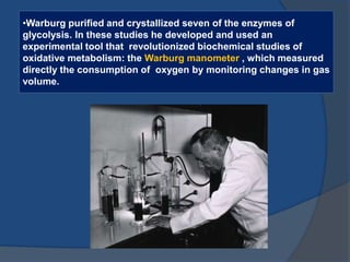 Warburg effect | PPTX