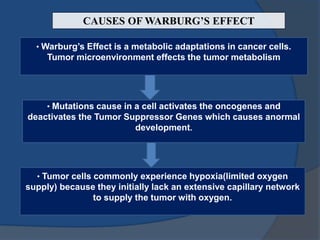 Warburg effect | PPTX
