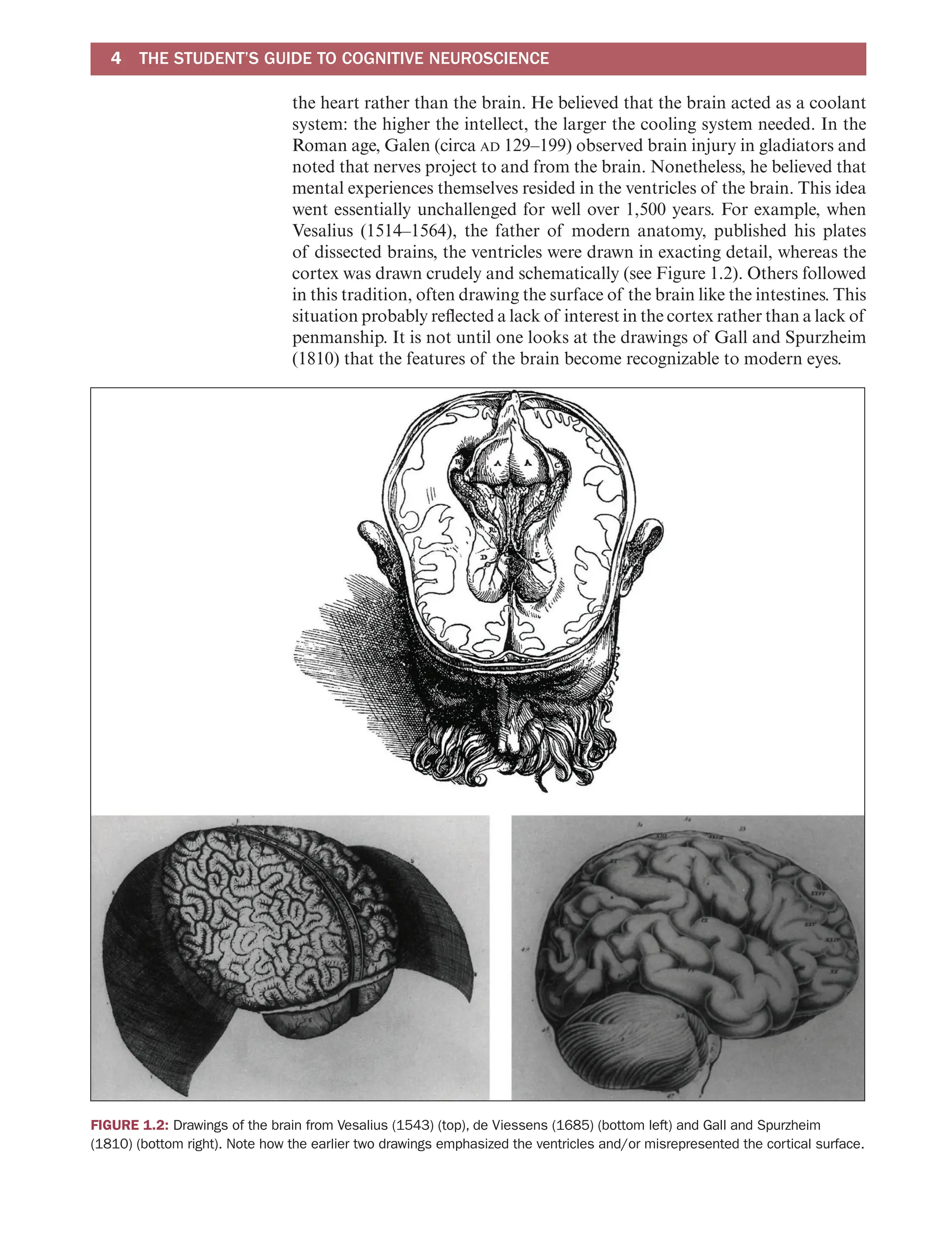 Ward, J. (2020). The Student's Guide to Cognitive Neuroscience.pdf | Educational Assessment ...
