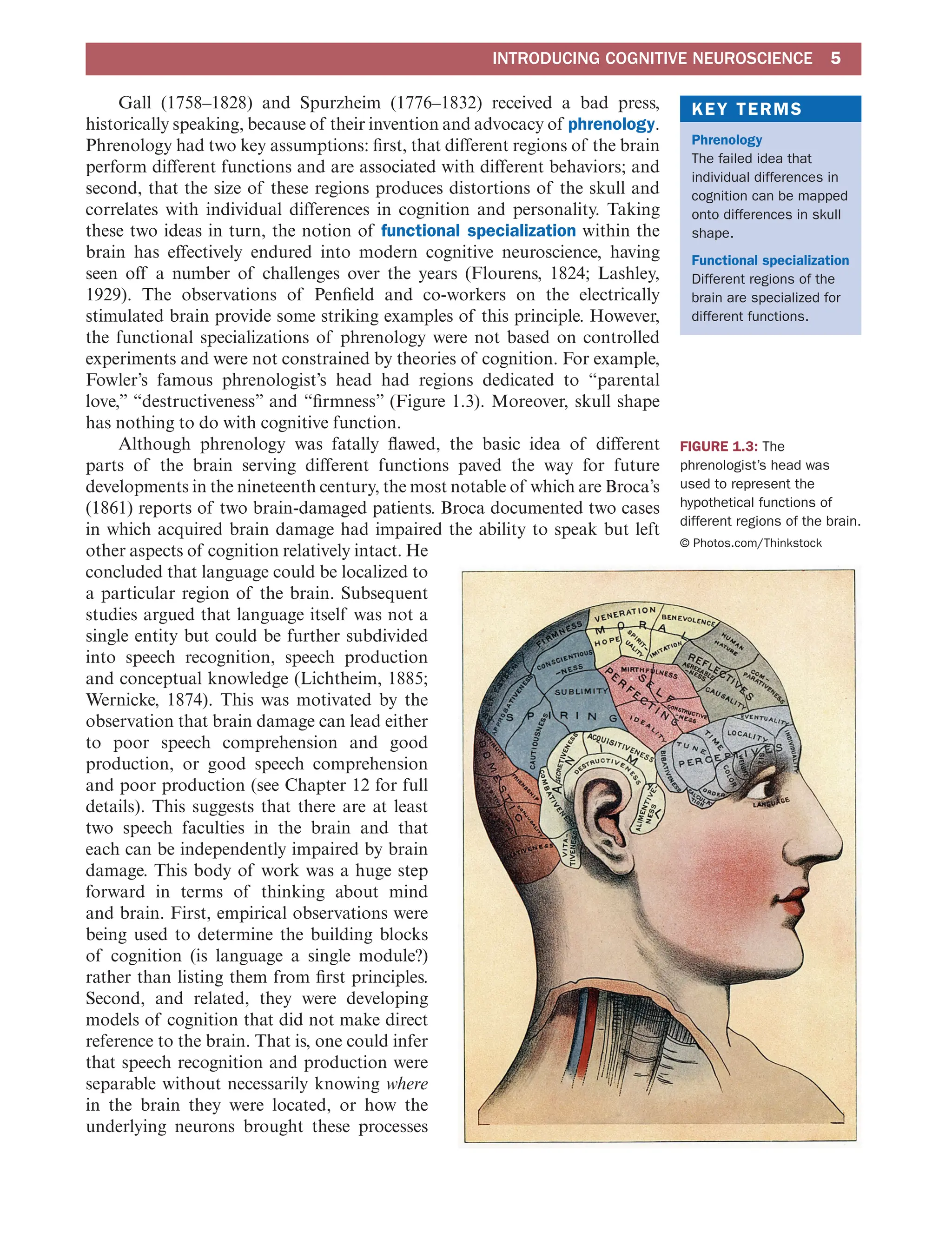 Ward, J. (2020). The Student's Guide to Cognitive Neuroscience.pdf | Educational Assessment ...