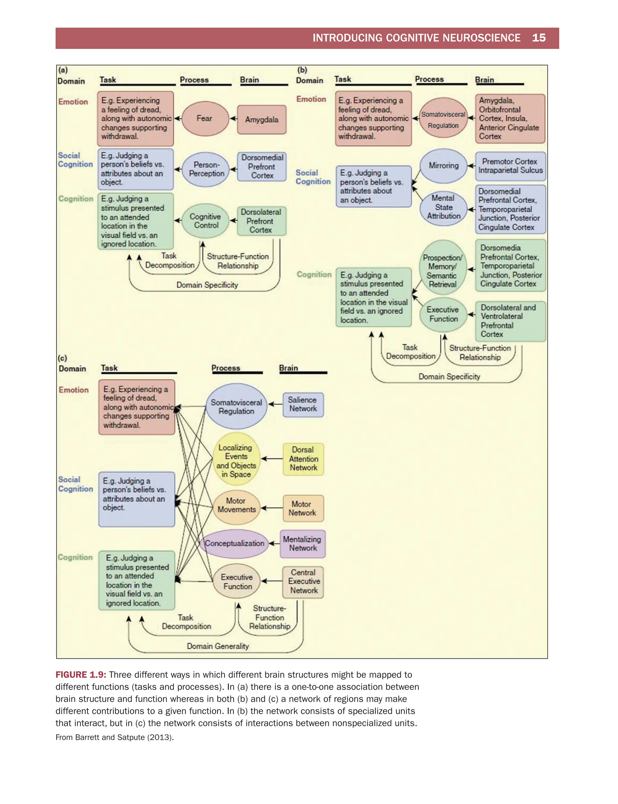 Ward, J. (2020). The Student's Guide to Cognitive Neuroscience.pdf | Educational Assessment ...